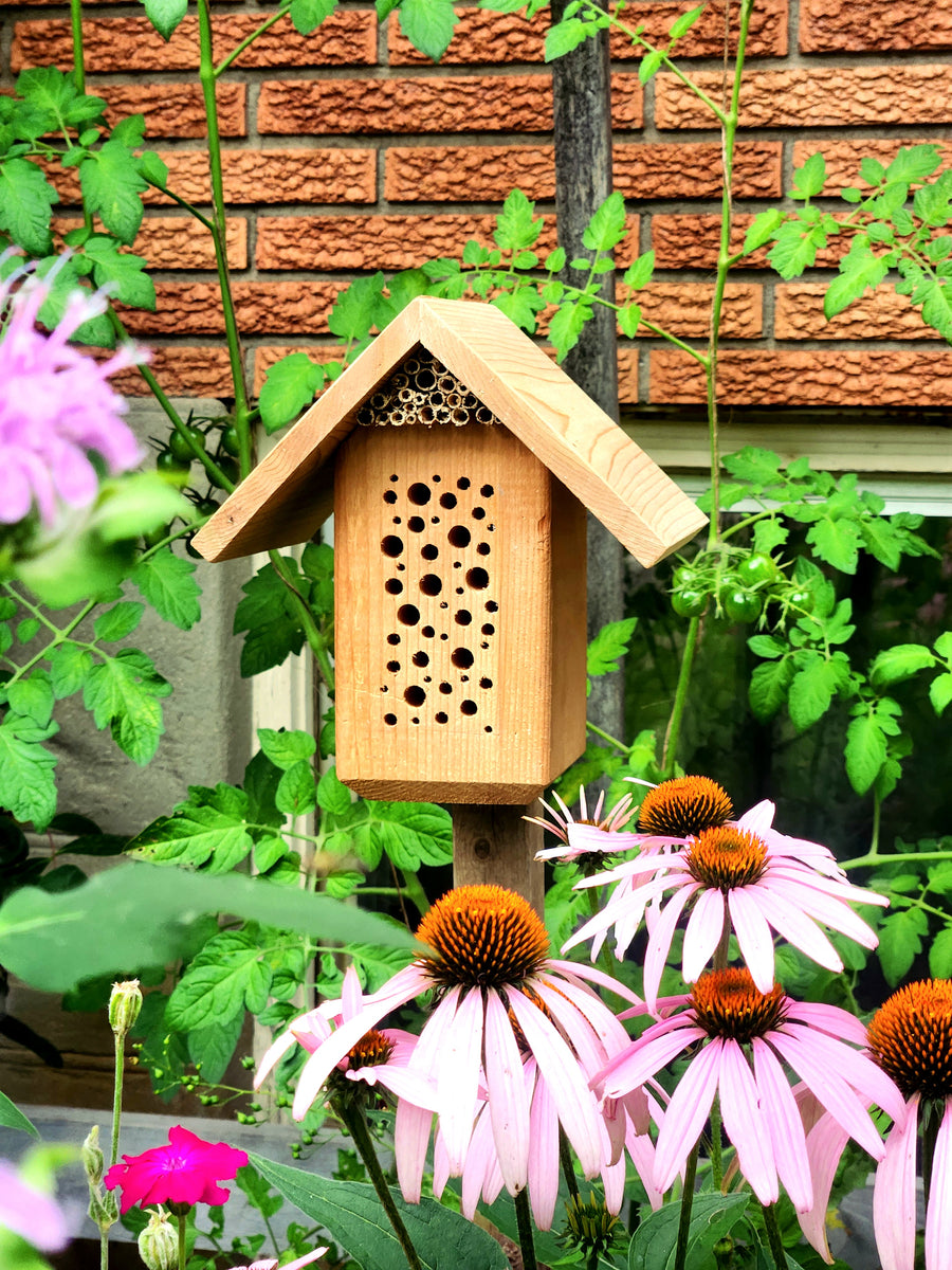 Baby Bee Bungalows – Honey Bee Research Centre
