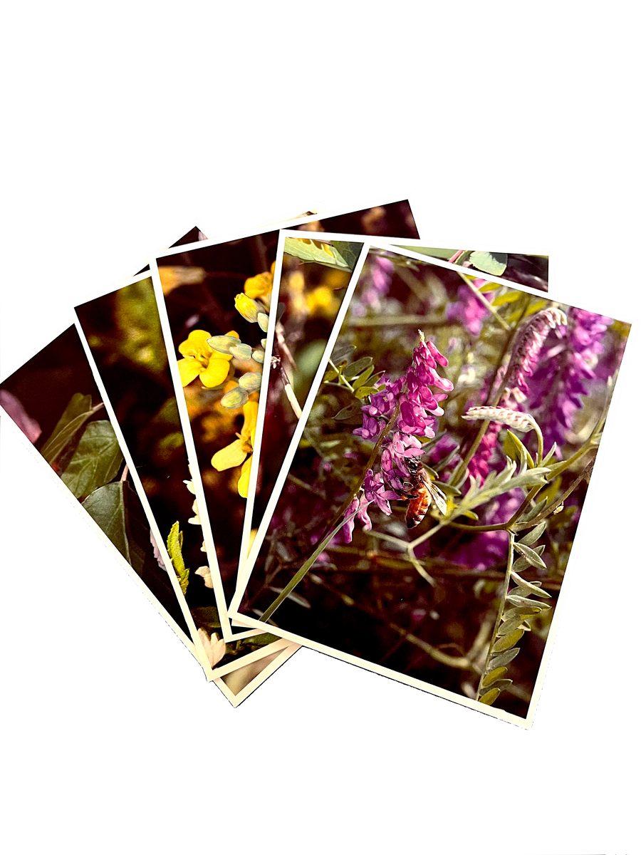 Bees or beekeeper greeting cards – Honey Bee Research Centre